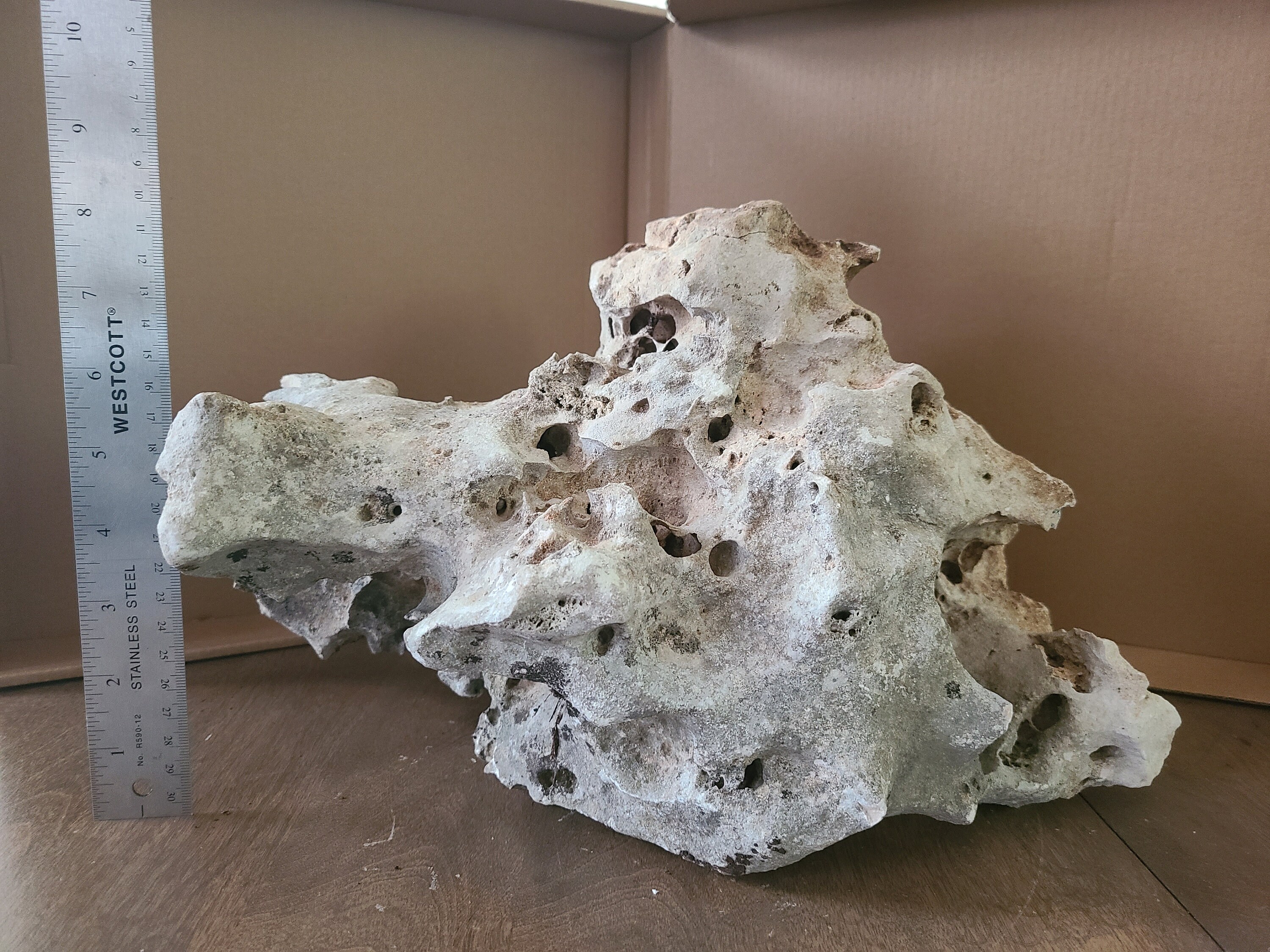 Texas Holey Rock Limestone Fish Aquarium Reptile Habitat Terrarium ...