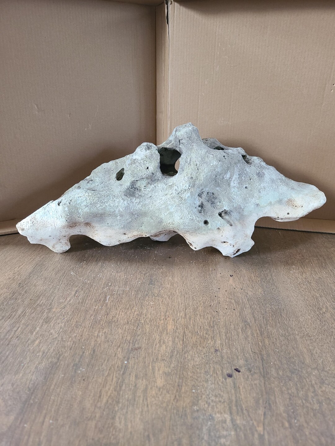 Texas Holey Rock Limestone Fish Aquarium Reptile Habitat Terrarium ...
