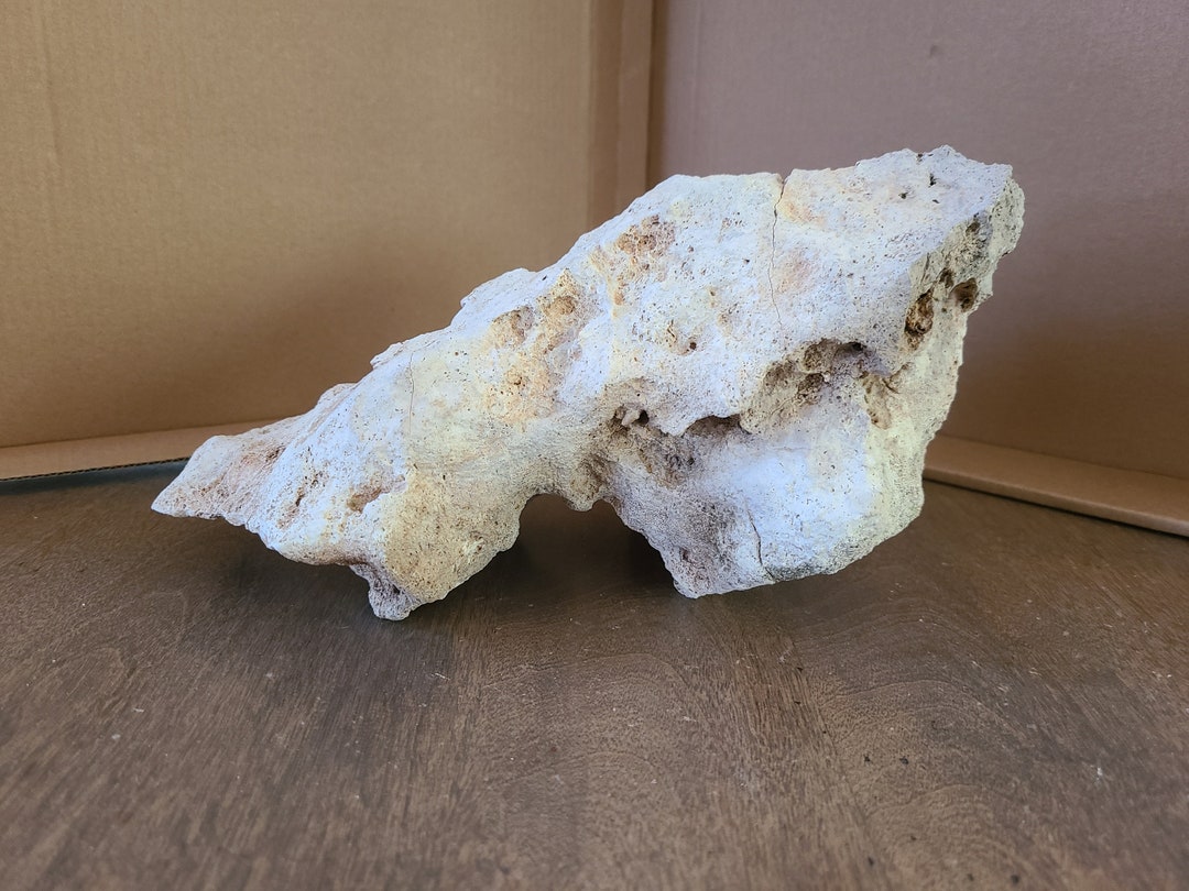 Texas Holey Rock Limestone Fish Aquarium Reptile Habitat Terrarium ...