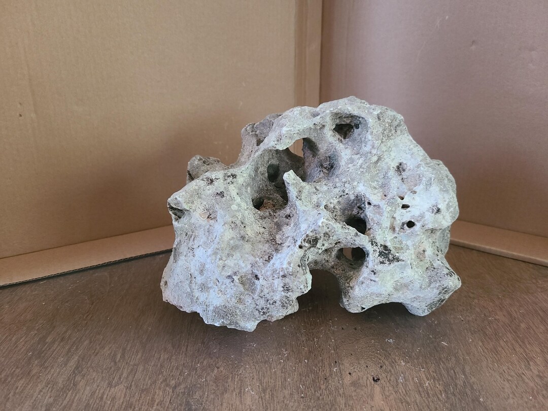 Texas Holey Rock Limestone Fish Aquarium Reptile Habitat Terrarium ...
