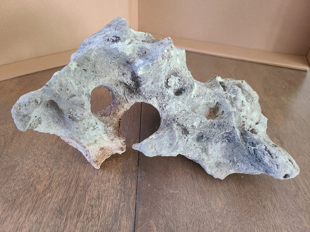 Texas Holey Rock Limestone Fish Aquarium Reptile Habitat Terrarium ...