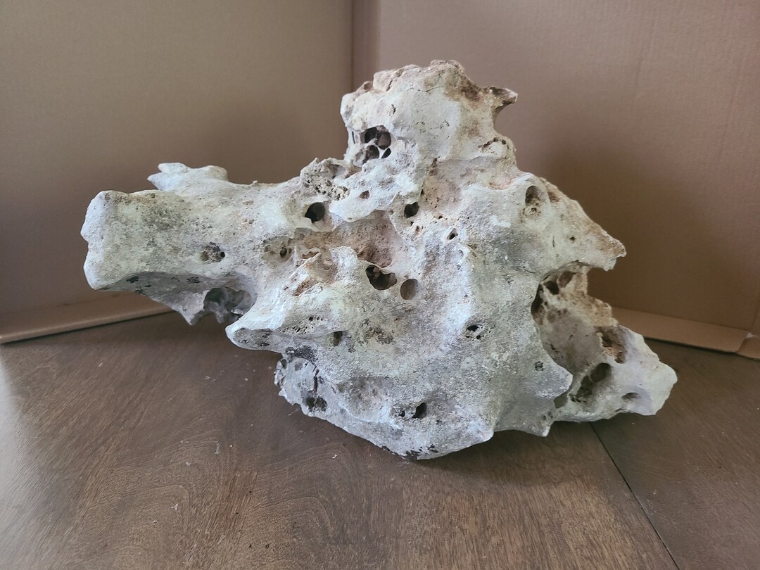 Texas Holey Rock Limestone Fish Aquarium Reptile Habitat Terrarium ...