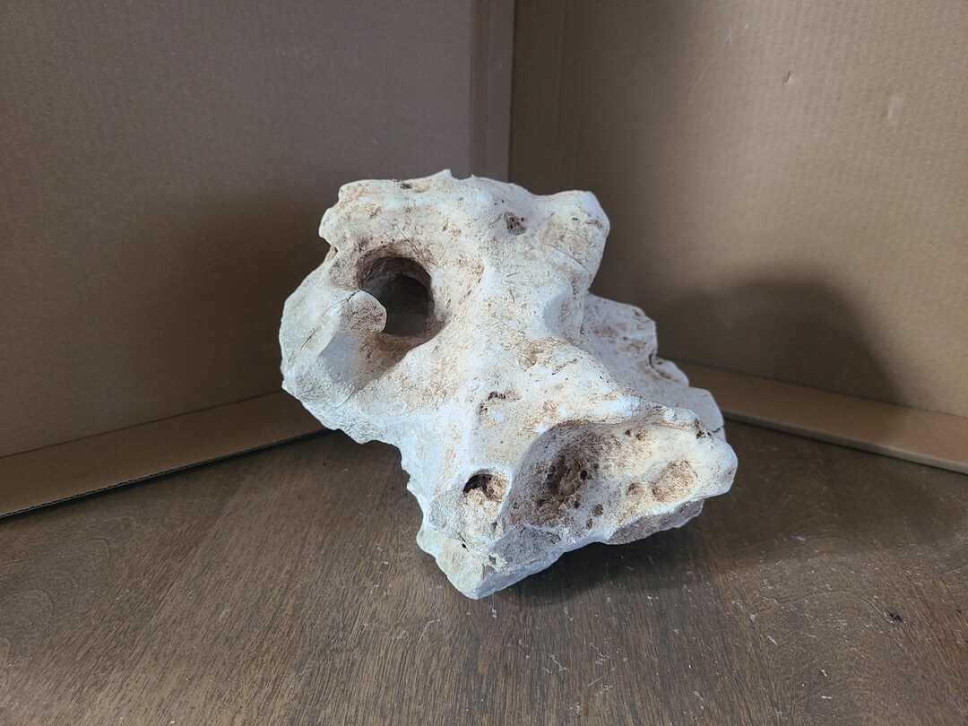 Texas Holey Rock Limestone Fish Aquarium Reptile Habitat Terrarium ...