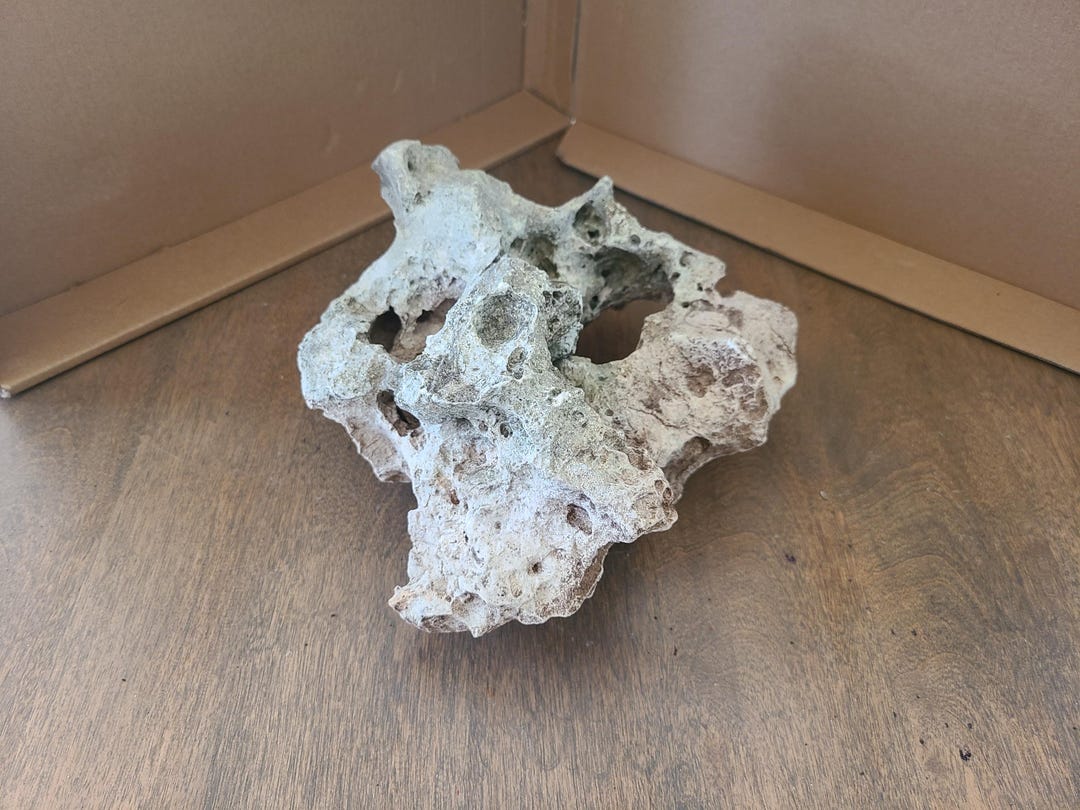 Texas Holey Rock Limestone Fish Aquarium Reptile Habitat Terrarium ...