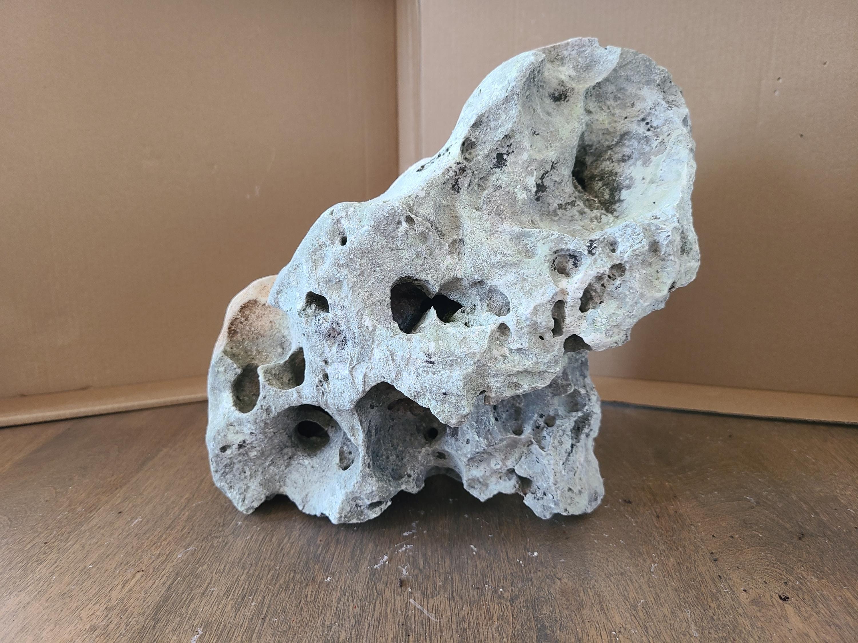 Texas Holey Rock Limestone Fish Aquarium Reptile Habitat Terrarium ...