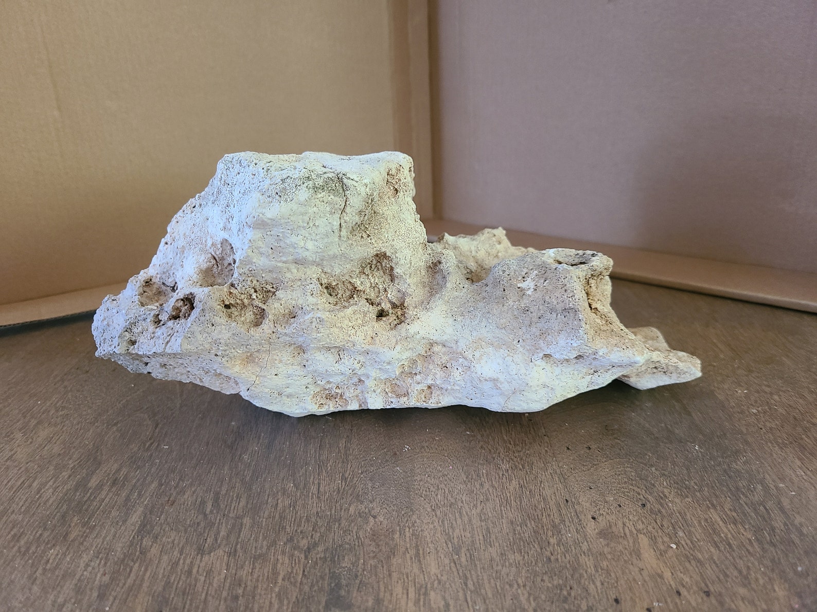 Texas Holey Rock Limestone Fish Aquarium Reptile Habitat Terrarium ...