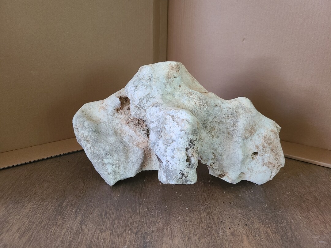 Texas Holey Rock Limestone Fish Aquarium Reptile Habitat Terrarium ...