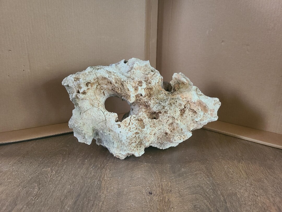 Texas Holey Rock Limestone Fish Aquarium Reptile Habitat Terrarium ...