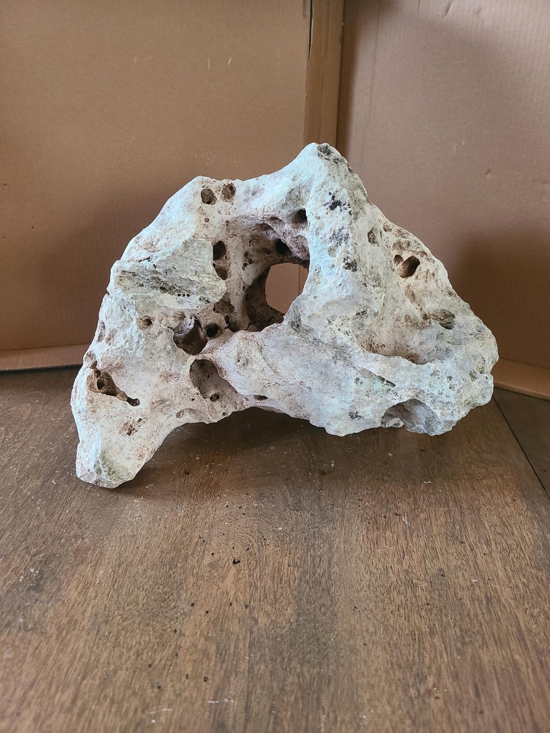 Texas Holey Rock Limestone Fish Aquarium Reptile Habitat Terrarium ...