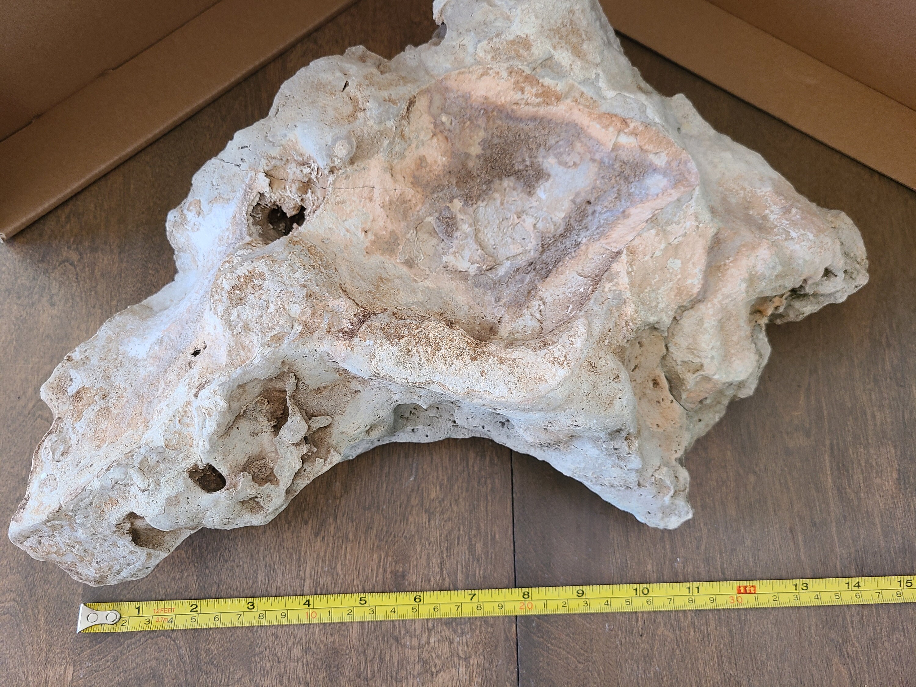 Reptile Habitat Texas Limestone Rock Fish Aquarium Terrarium Decor for ...