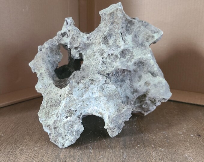 Texas Holey Rock Limestone Fish Aquarium Reptile Habitat Terrarium ...