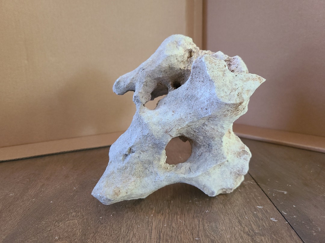 Texas Holey Rock Limestone Fish Aquarium Reptile Habitat Terrarium ...