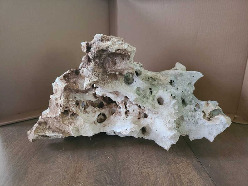 Texas Holey Rock Limestone Fish Aquarium Reptile Habitat Terrarium ...