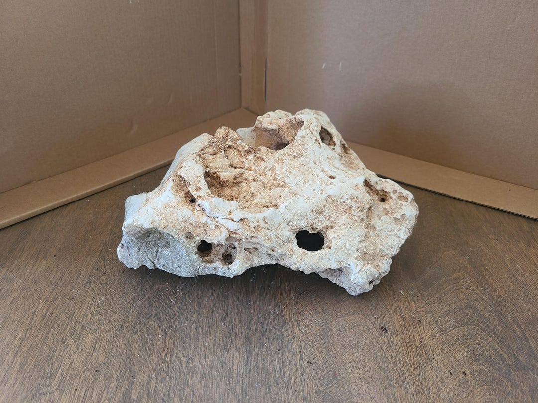 Texas Holey Rock Limestone Fish Aquarium Reptile Habitat Terrarium ...