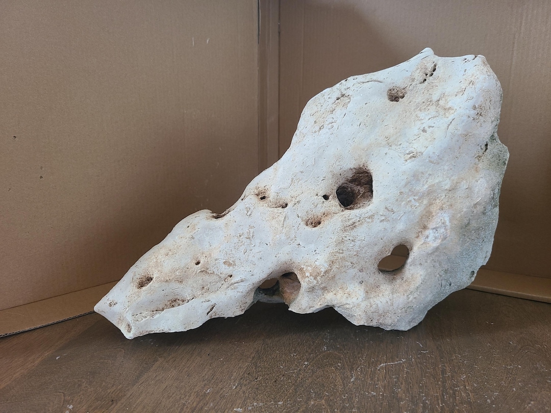 Texas Holey Rock Limestone Fish Aquarium Reptile Habitat Terrarium ...