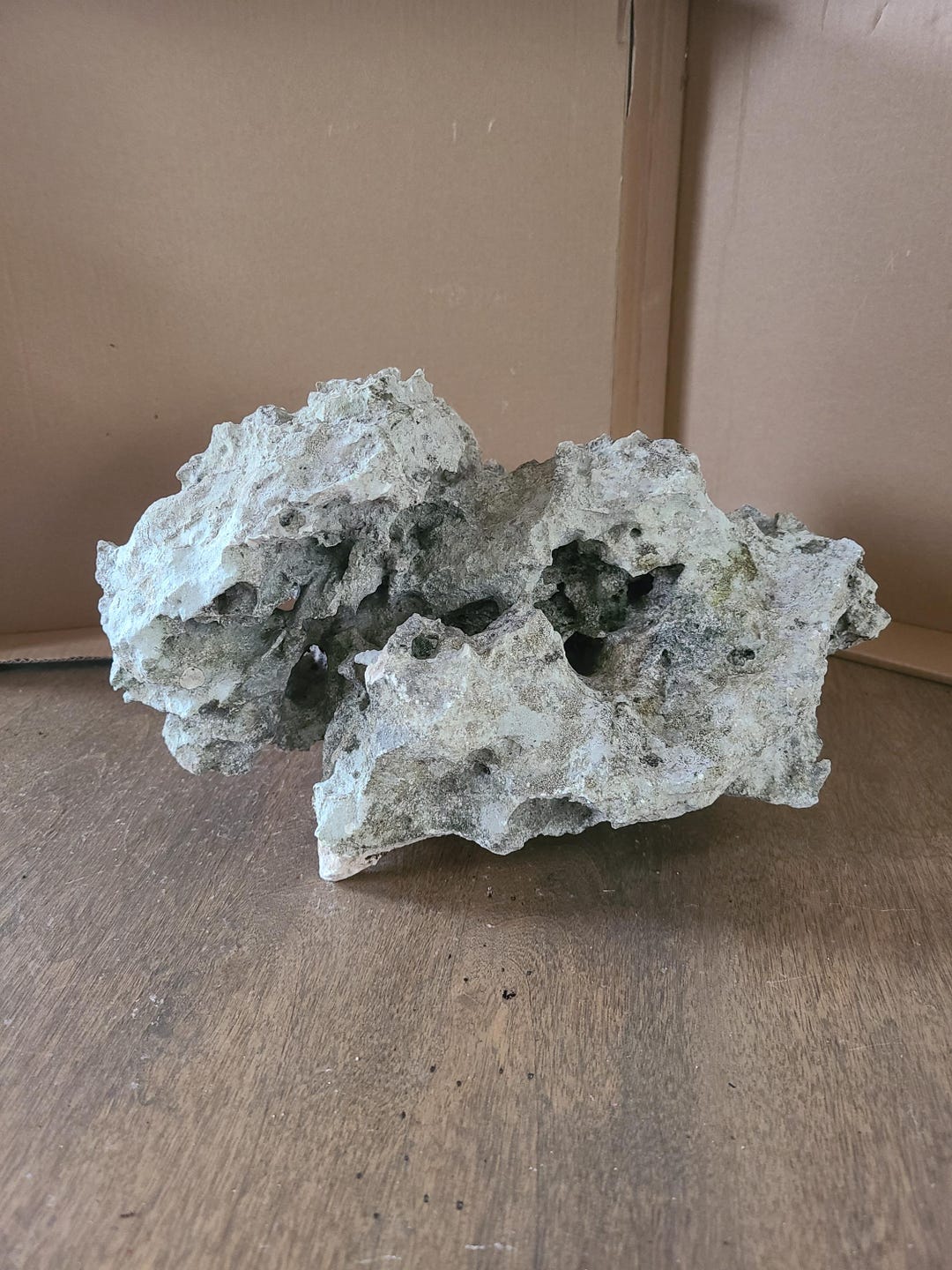 Texas Holey Rock Limestone Fish Aquarium Reptile Habitat Terrarium ...