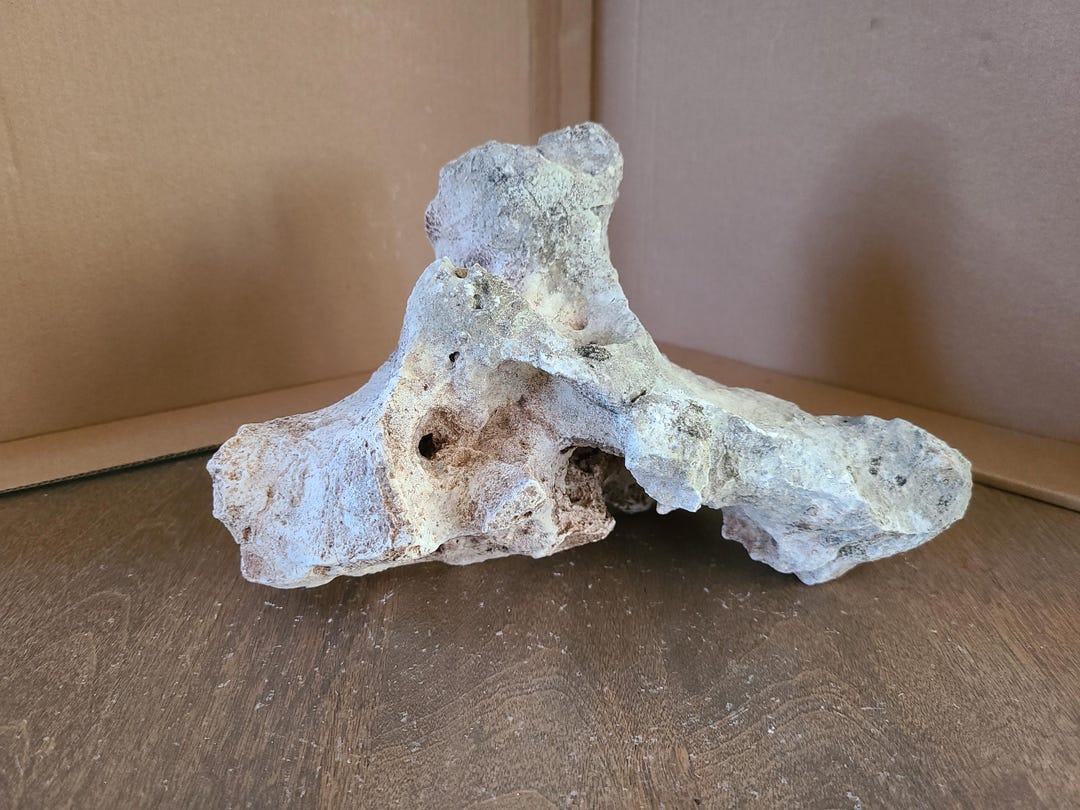 Texas Holey Rock Limestone Fish Aquarium Reptile Habitat Terrarium ...