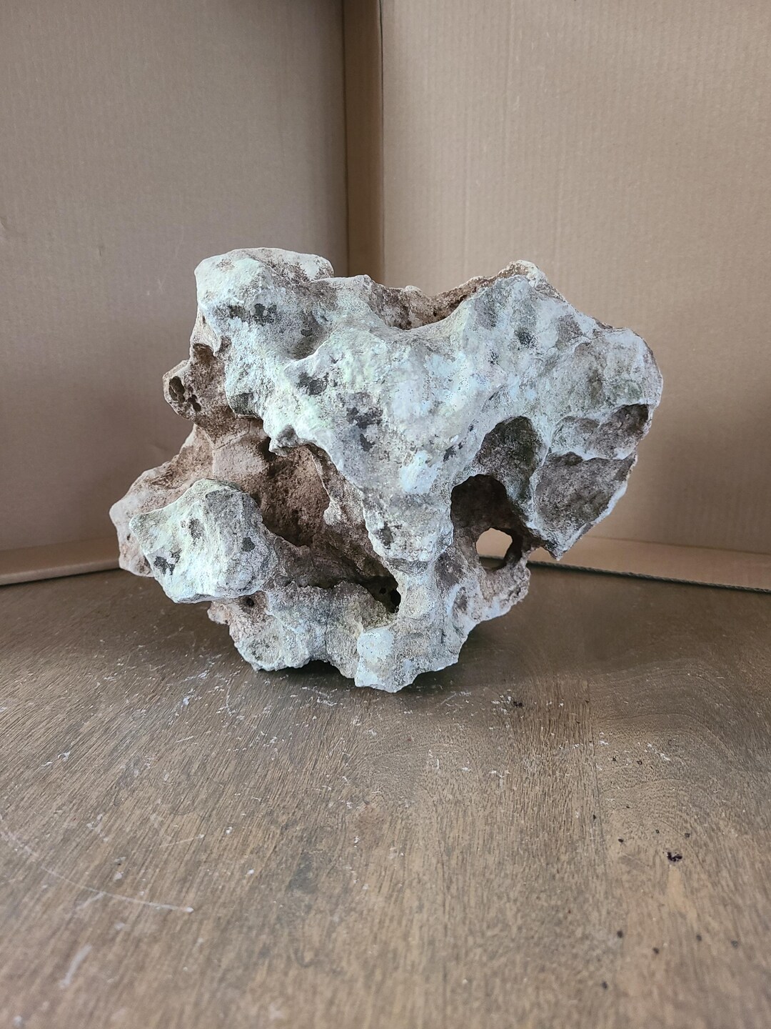 Texas Holey Rock Limestone Fish Aquarium Reptile Habitat Terrarium ...