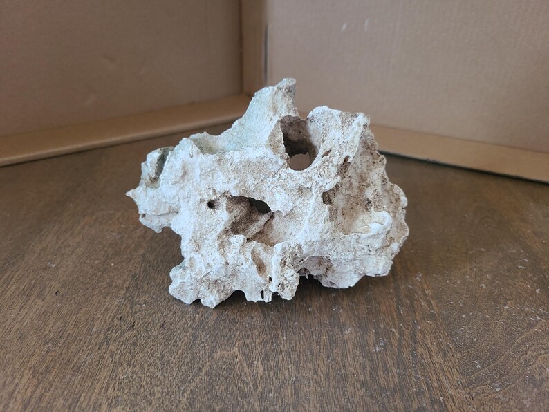 Texas Holey Rock Limestone Fish Aquarium Reptile Habitat Terrarium ...