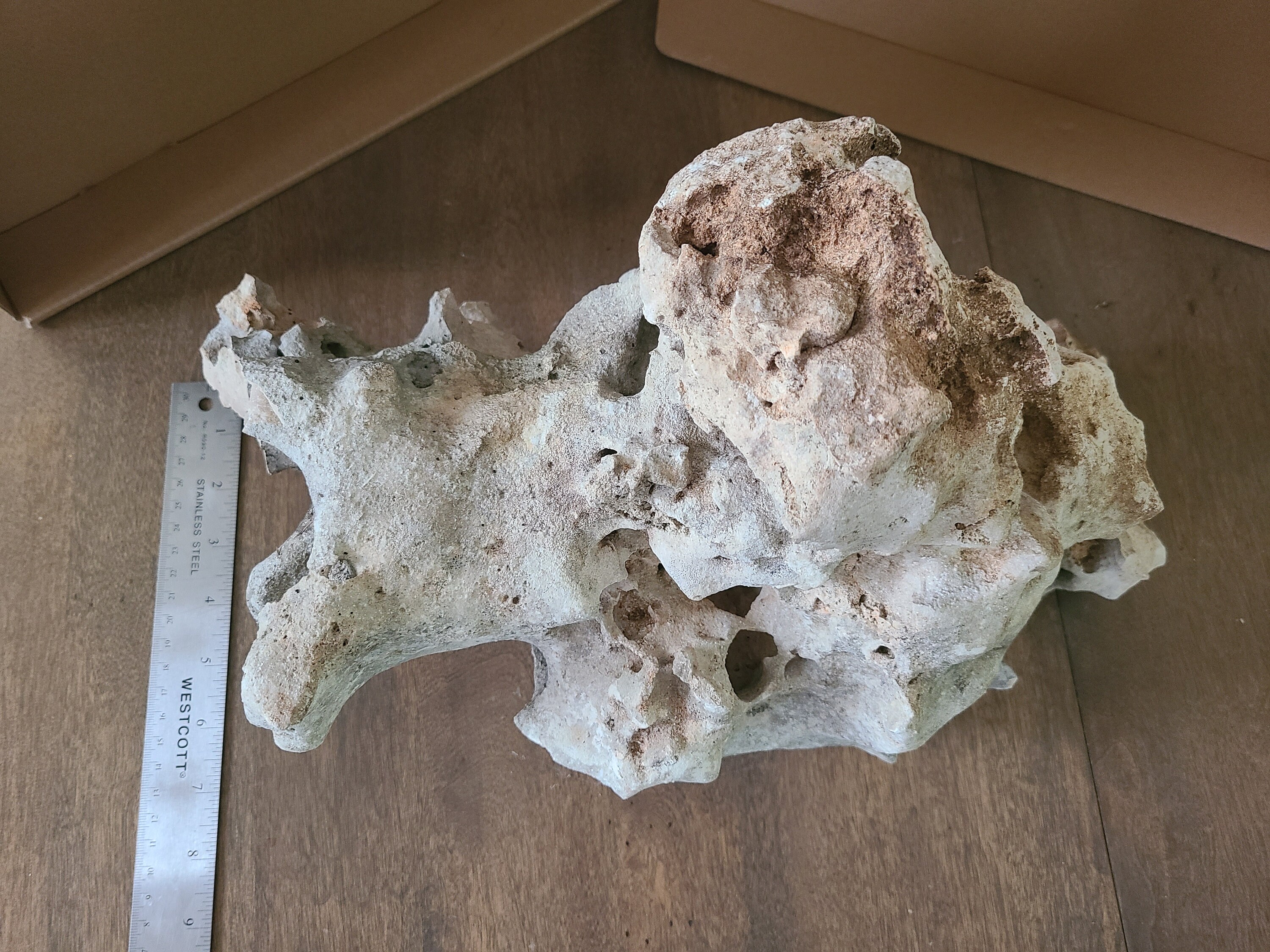 Texas Holey Rock Limestone Fish Aquarium Reptile Habitat Terrarium ...