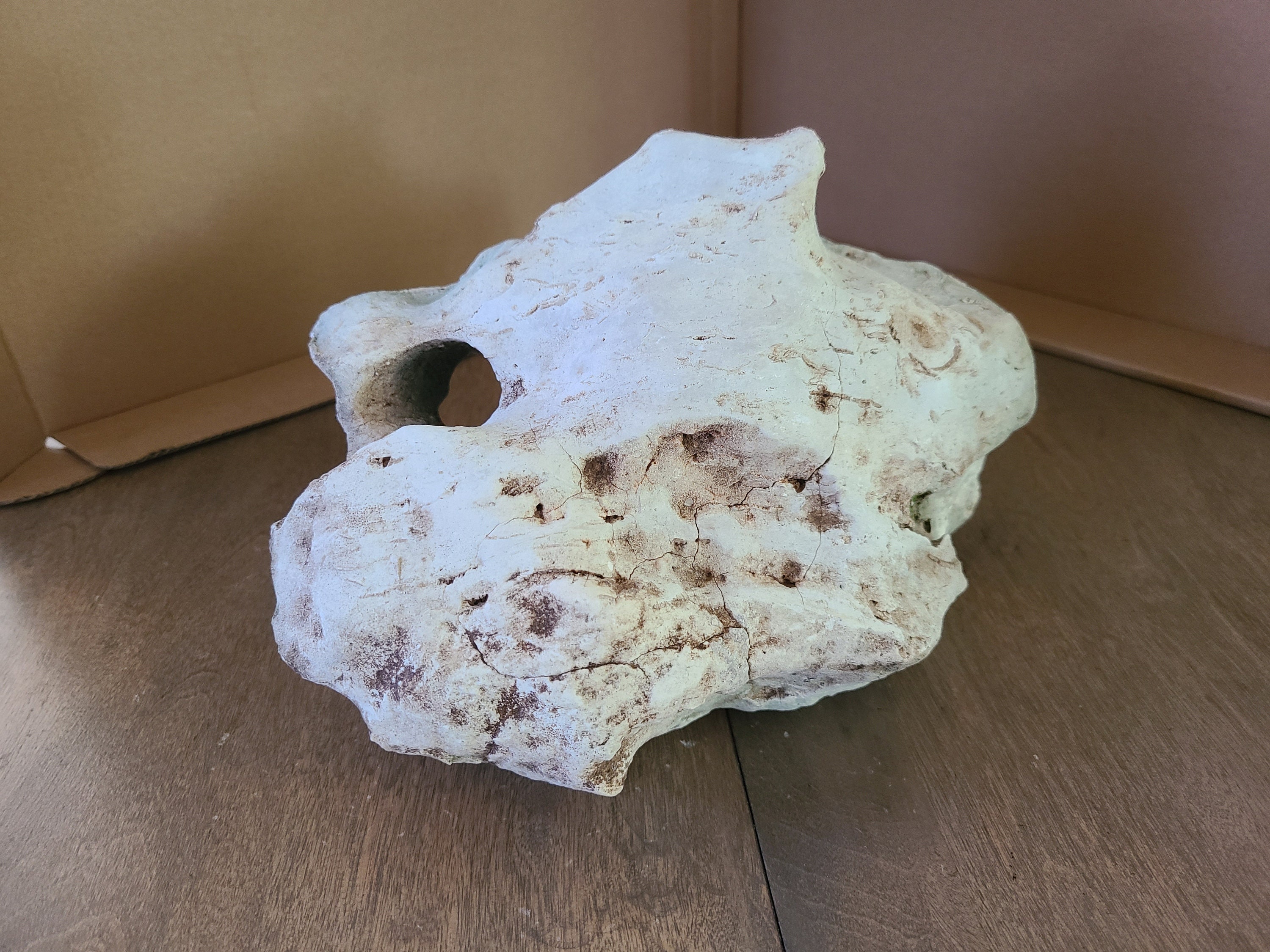 Texas Holey Rock Limestone Fish Aquarium Reptile Habitat Terrarium ...