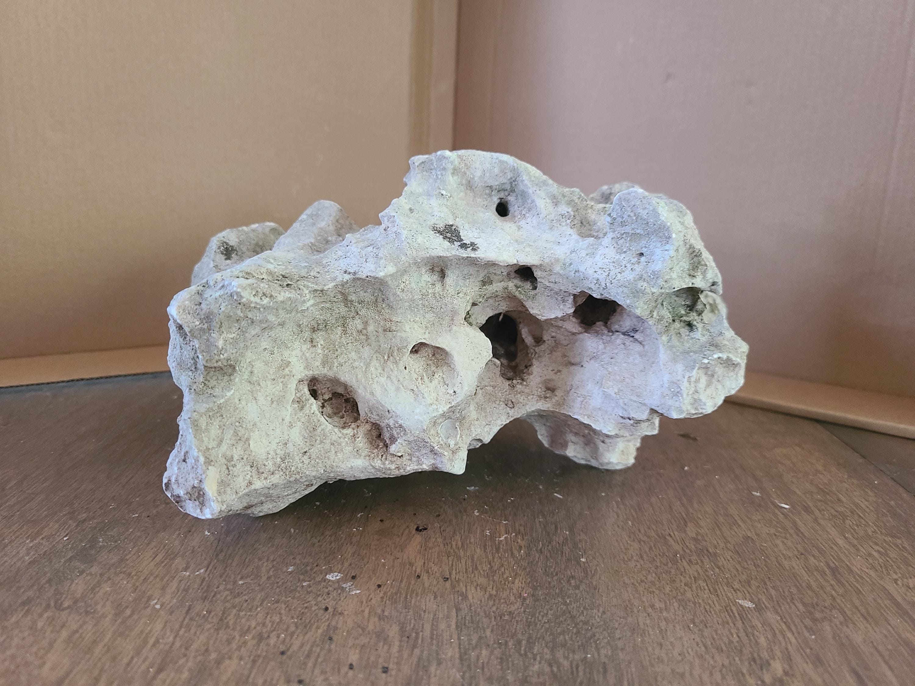 Texas Holey Rock Limestone Fish Aquarium Reptile Habitat Terrarium ...