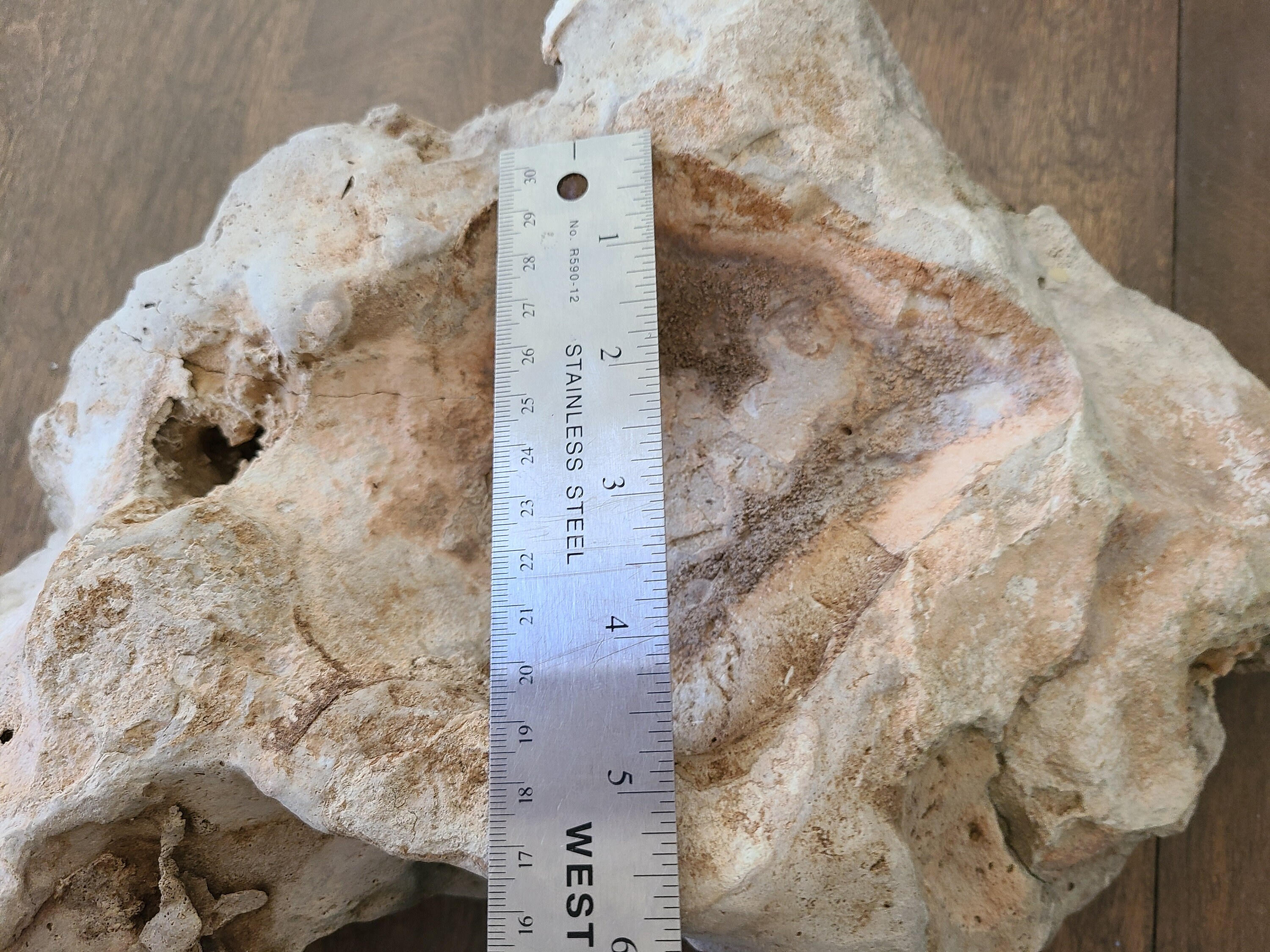 Reptile Habitat Texas Limestone Rock Fish Aquarium Terrarium Decor for ...