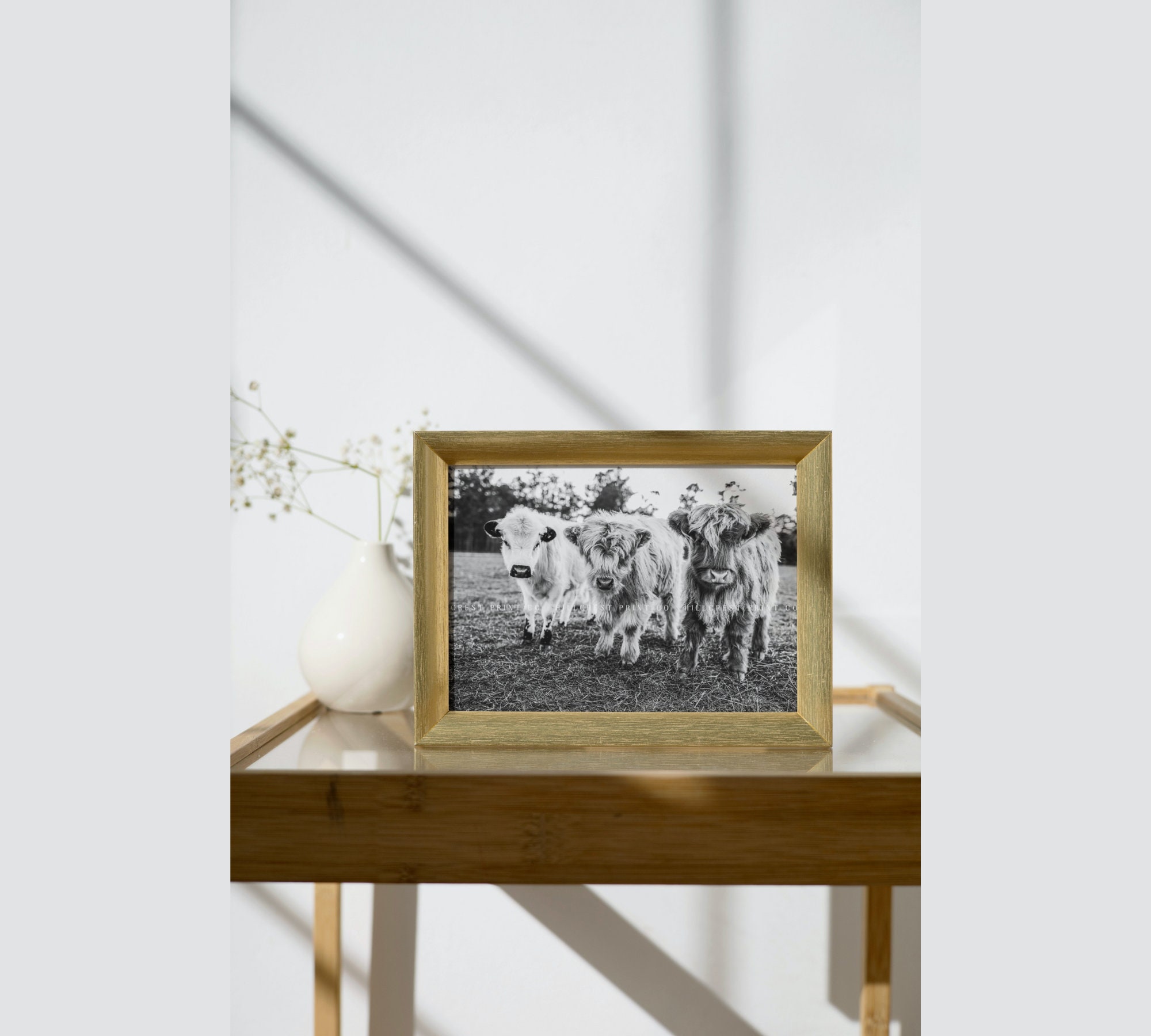 Mini Highland Cows Printable | Mini Cow Wall Art | Mini Highpark | Cow ...