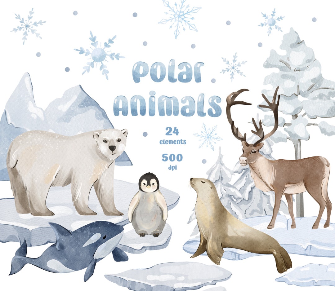 Polar Animals Clipart, Arctic Animal PNG, Winter Graphic, Greeting Card ...
