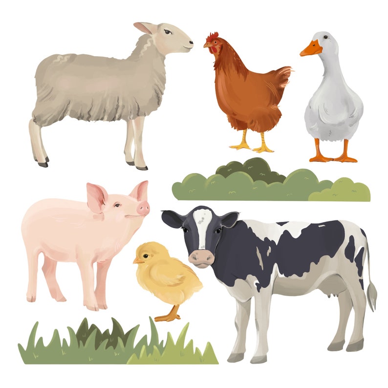 Farm Animals Clipart, Barn Animals PNG, Farmyard Animals, Digital ...