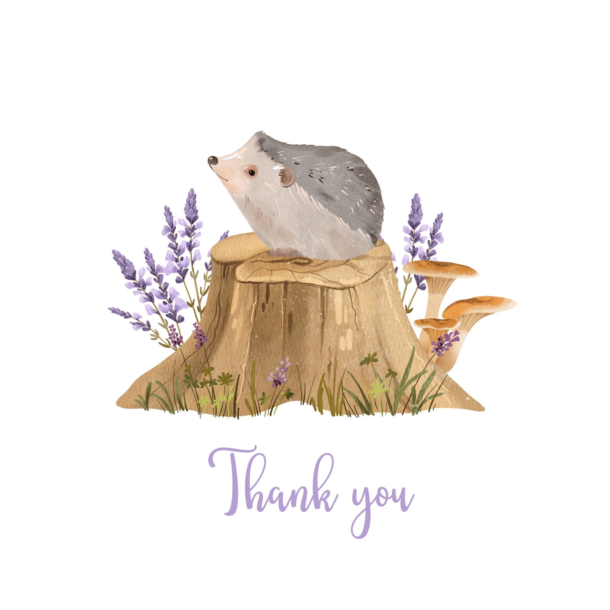 Watercolor Woodland Animals Clipart PNG, Wild Animals, Forest ...
