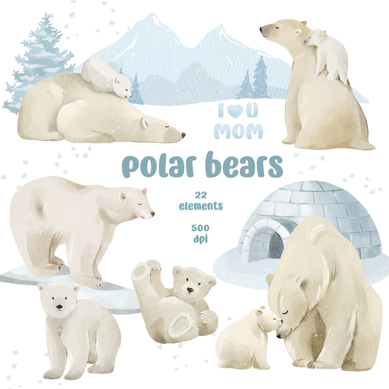 Polar Bears Clipart Png,watercolor Arctic Animals Set,baby Polar Bear ...