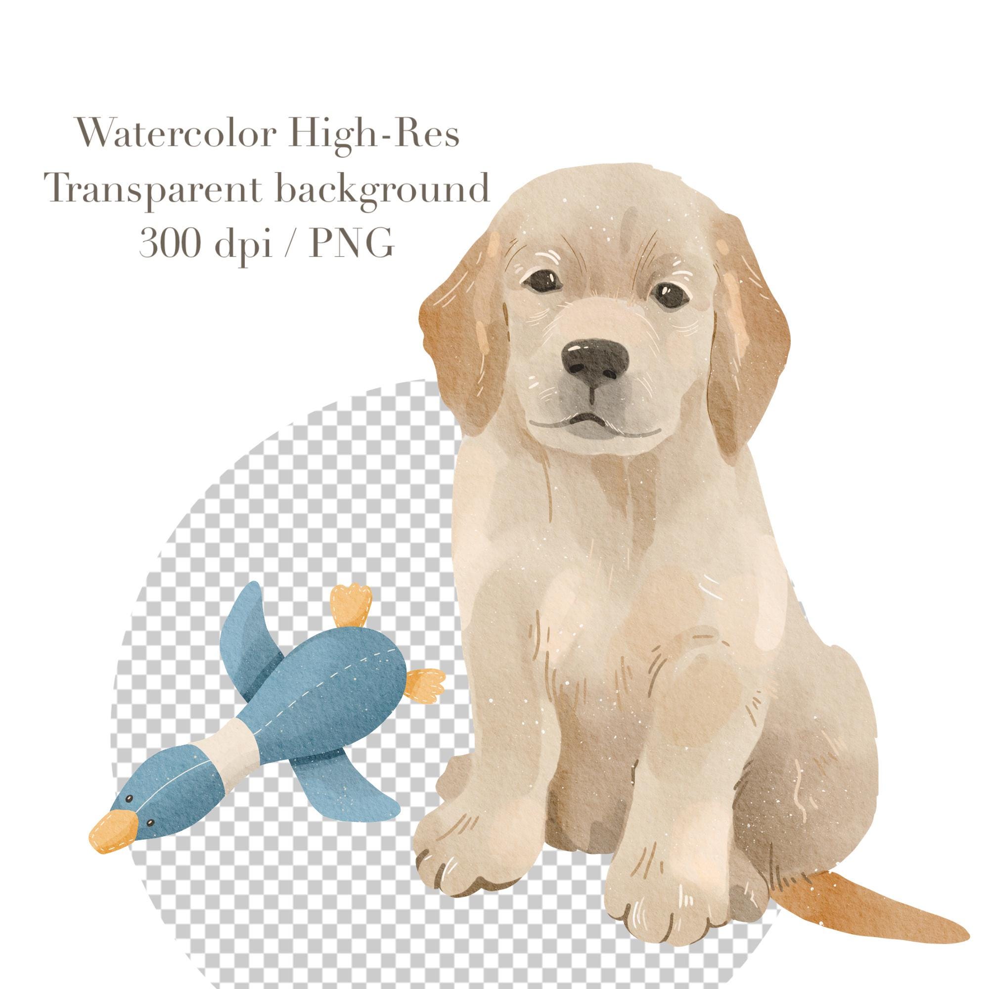 Watercolor Baby Dogs Clipart: Hand-drawn Puppy Breeds PNG, Dog Toys ...