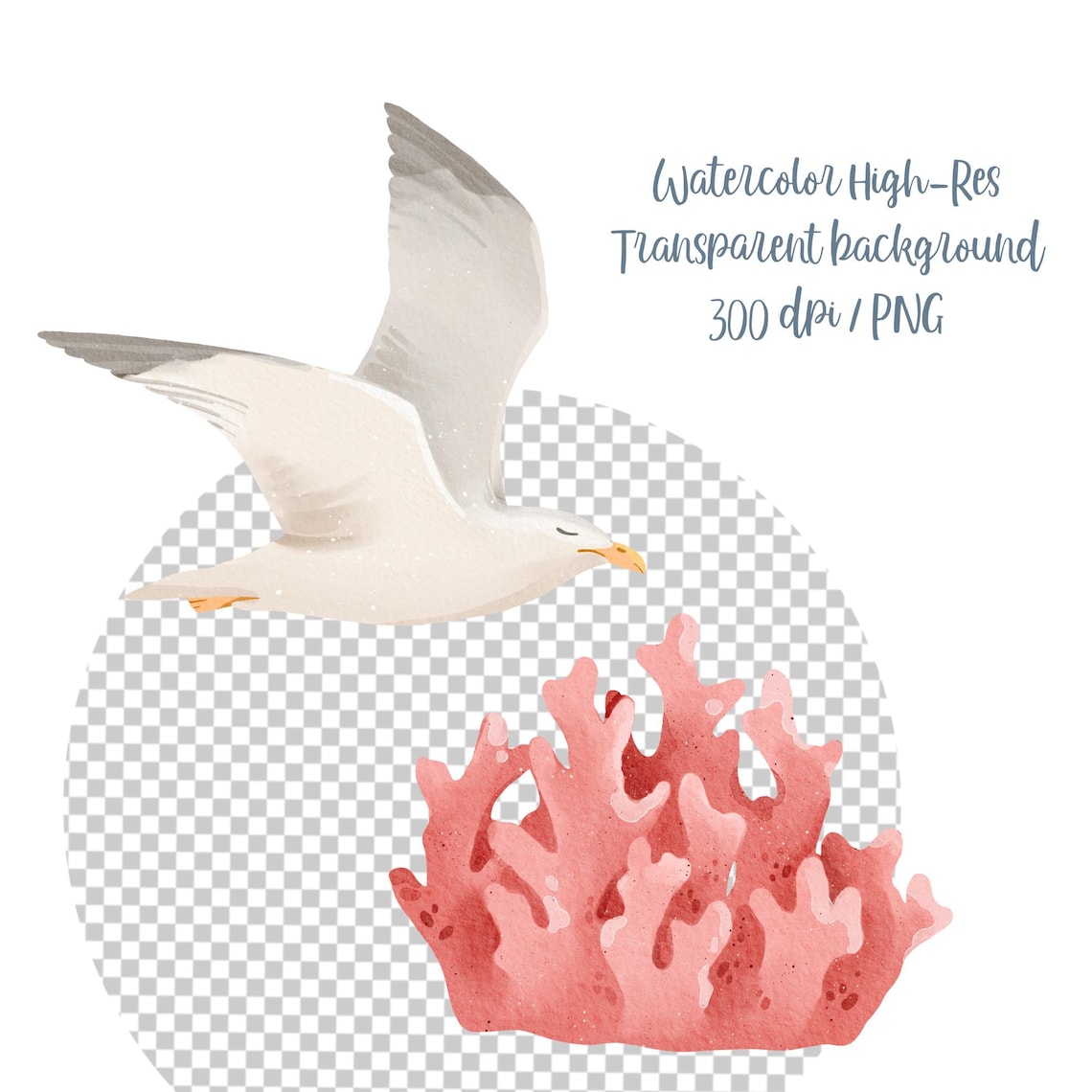 Nautical Watercolor Clipart, Marine Clipart, Sea Drawing, Nautical ...