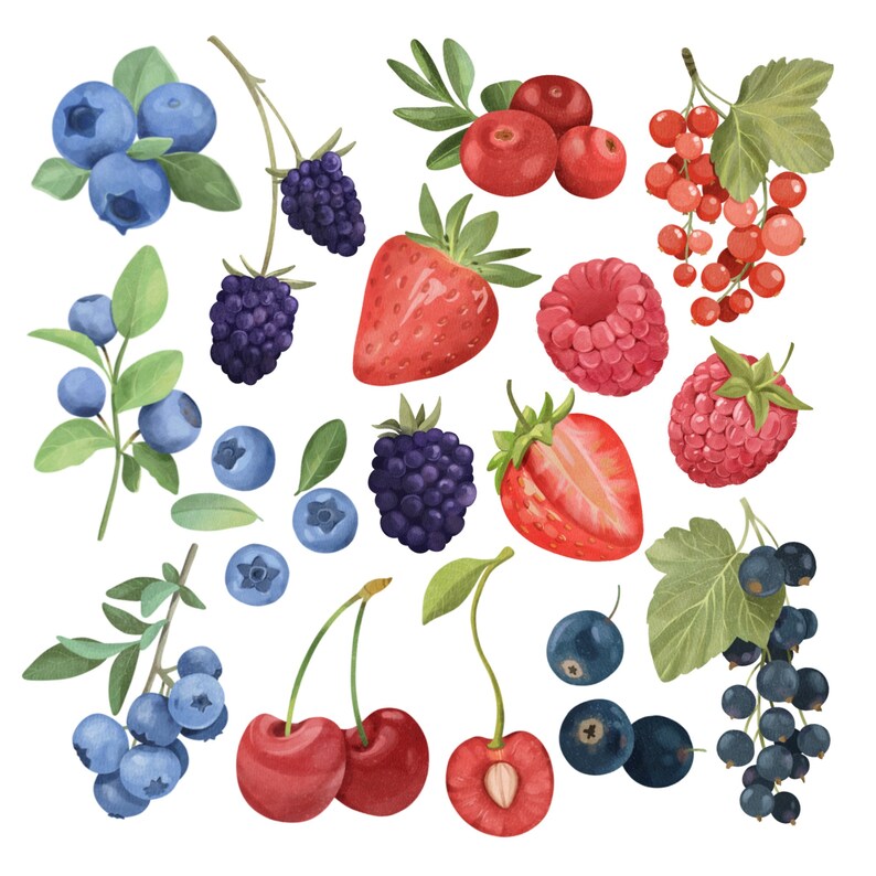 Watercolor Summer Berries Clipart, Berry Seamless Pattern, Juicy Fresh ...