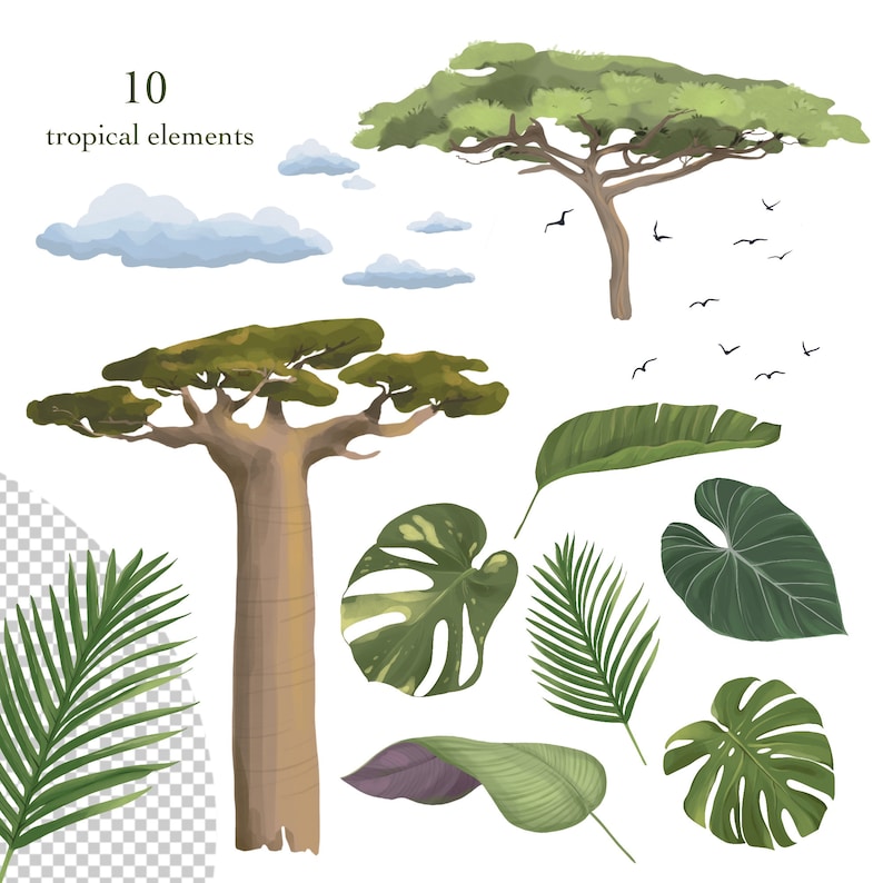 Safari Jungle Animals Clipart PNG: Tropical Nursery Decor (instant ...