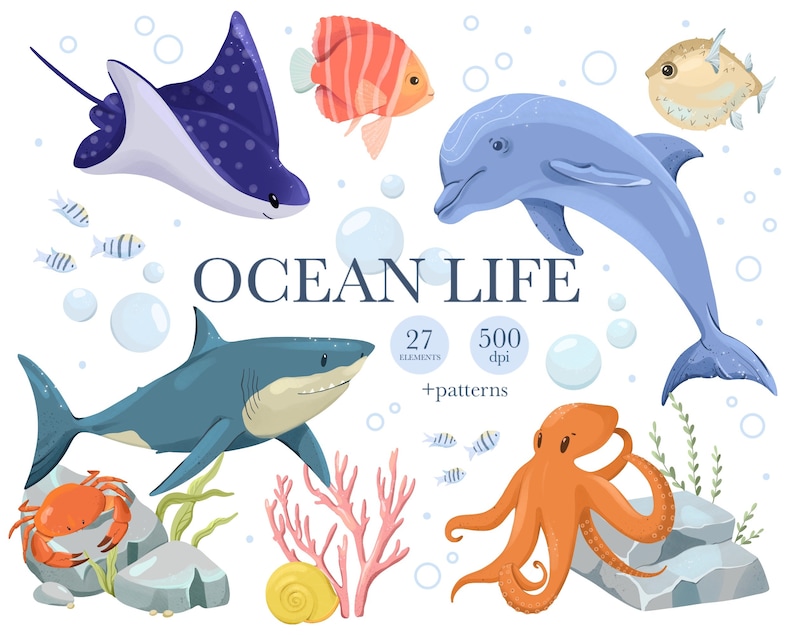 Ocean Sea Life PNG, Coral Reef, Cute Marine Animals, Sea Animal Pattern ...
