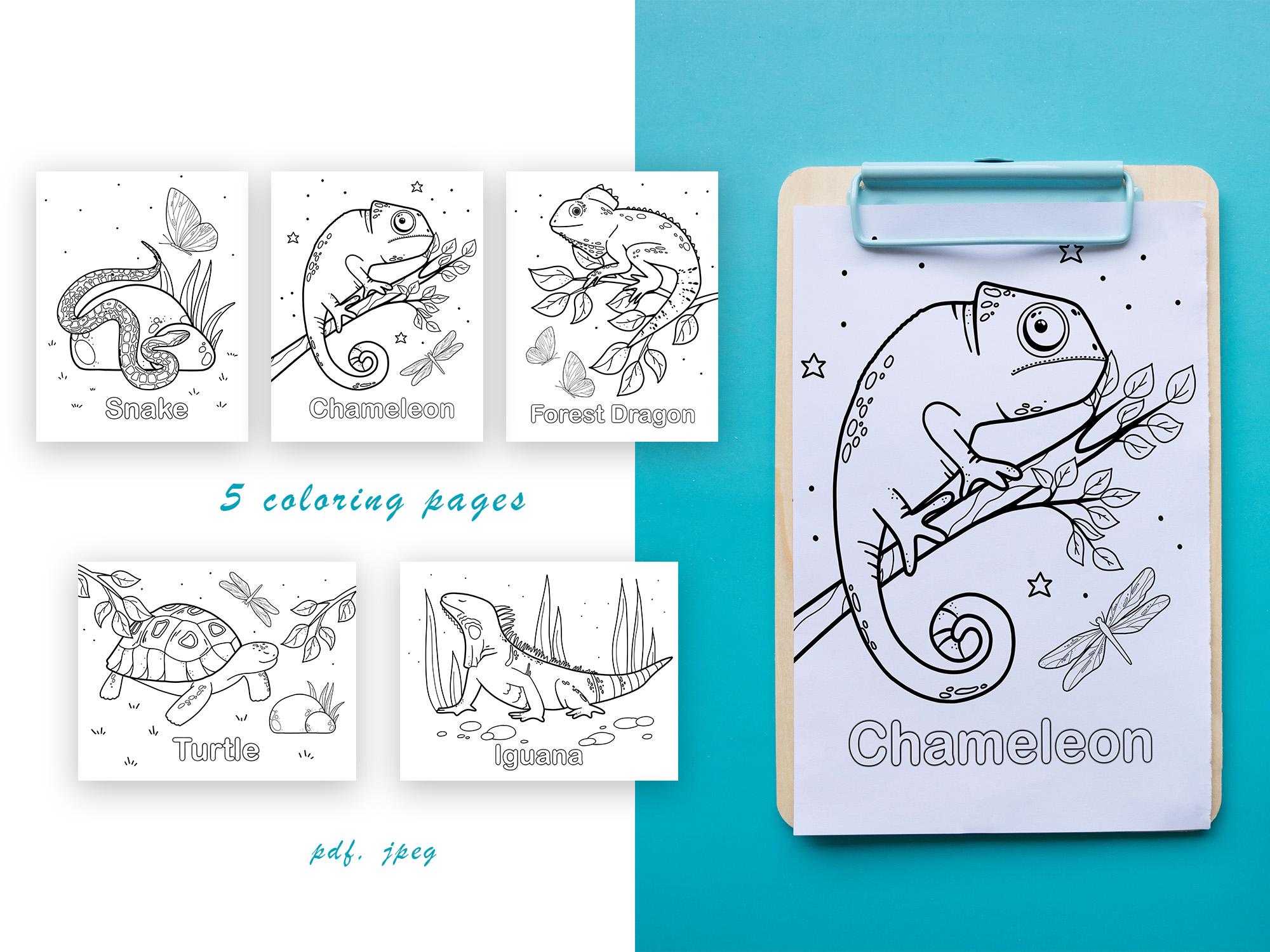 Reptiles Silhouette Clipart, Reptiles Png,reptile Coloring Sheets ...