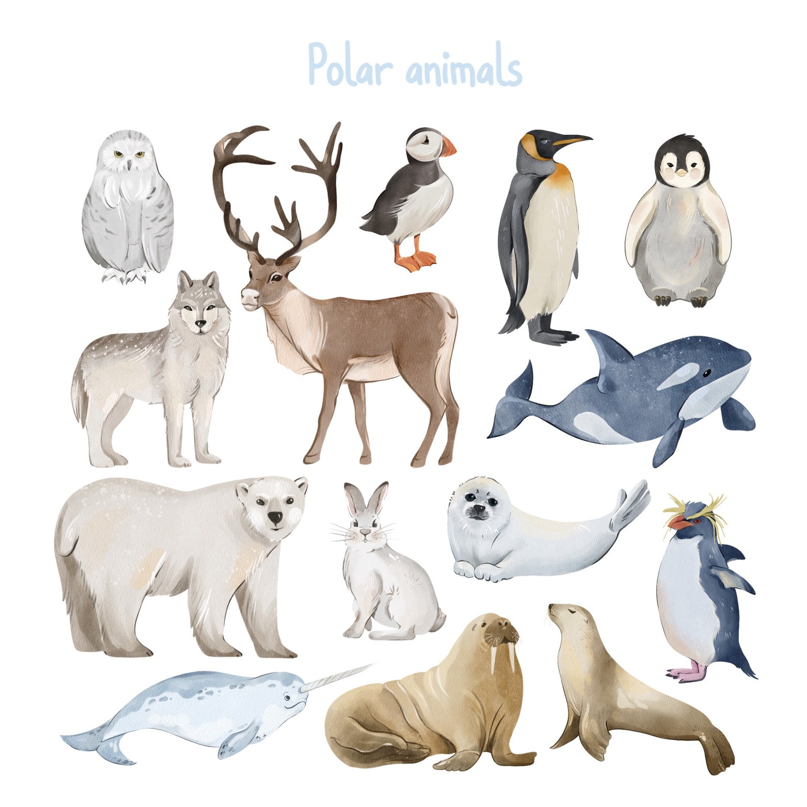 Polar Animals Clipart, Arctic Animal PNG, Winter Graphic, Greeting Card ...