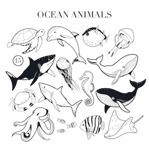 Ocean Animals Clipart, Seaweed Coral Reef, Seamless Animal Pattern, Sea ...