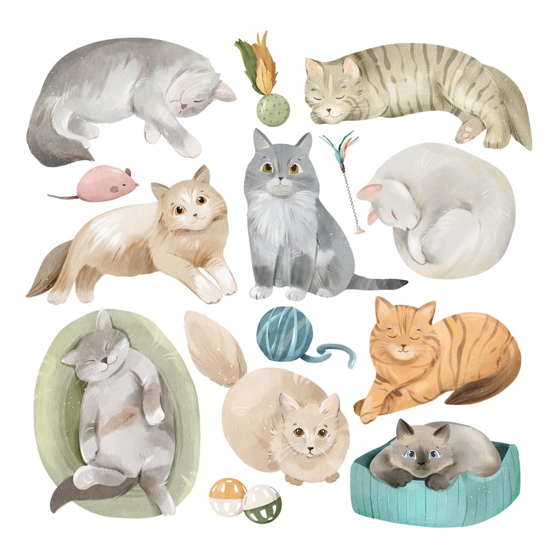Watercolor Cats Clipart, Funny Cats PNG, Kitty Digital Clipart, Animals ...