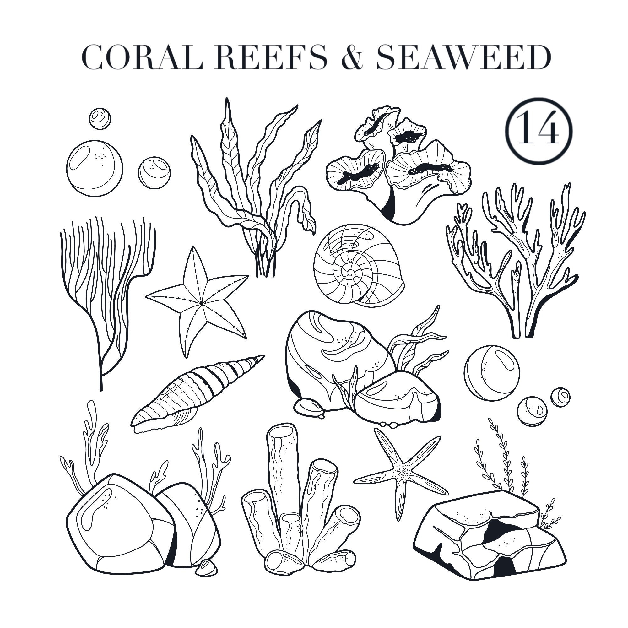 Ocean Animals Clipart, Seaweed Coral Reef, Seamless Animal Pattern, Sea ...