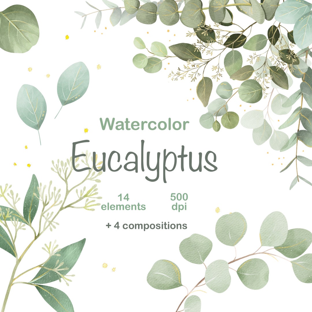 Watercolor Eucalyptus Clipart, Green Leaves Frame PNG, Greenery Set ...