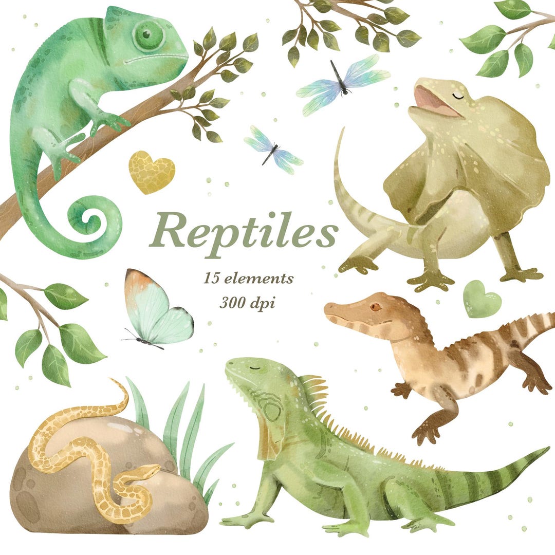 Watercolor Reptiles Clipart: Exotic Animals PNG, Chameleon, Forest ...
