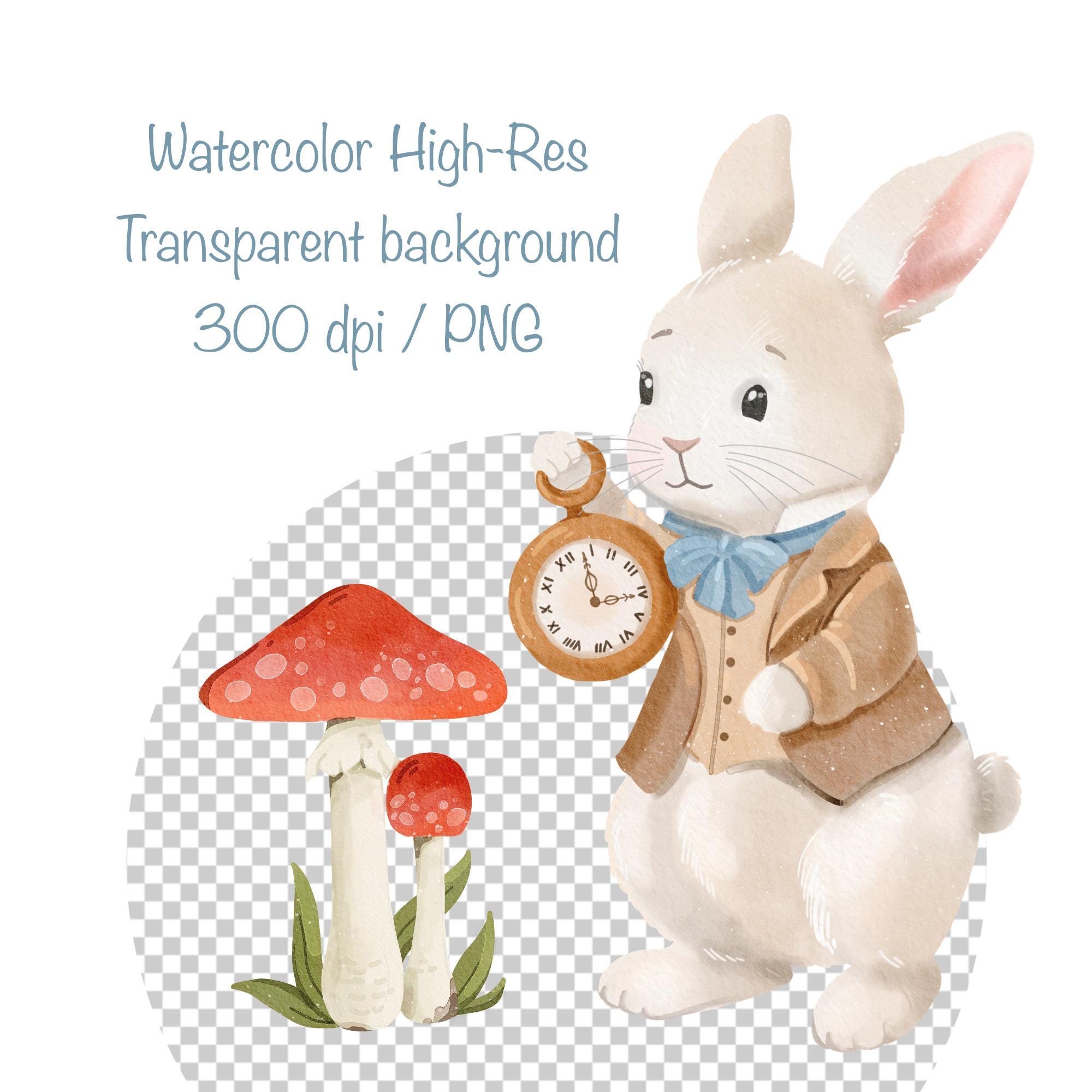 Alice in Wonderland Clipart, Watercolor Alice Clip Art PNG, Red Queen ...