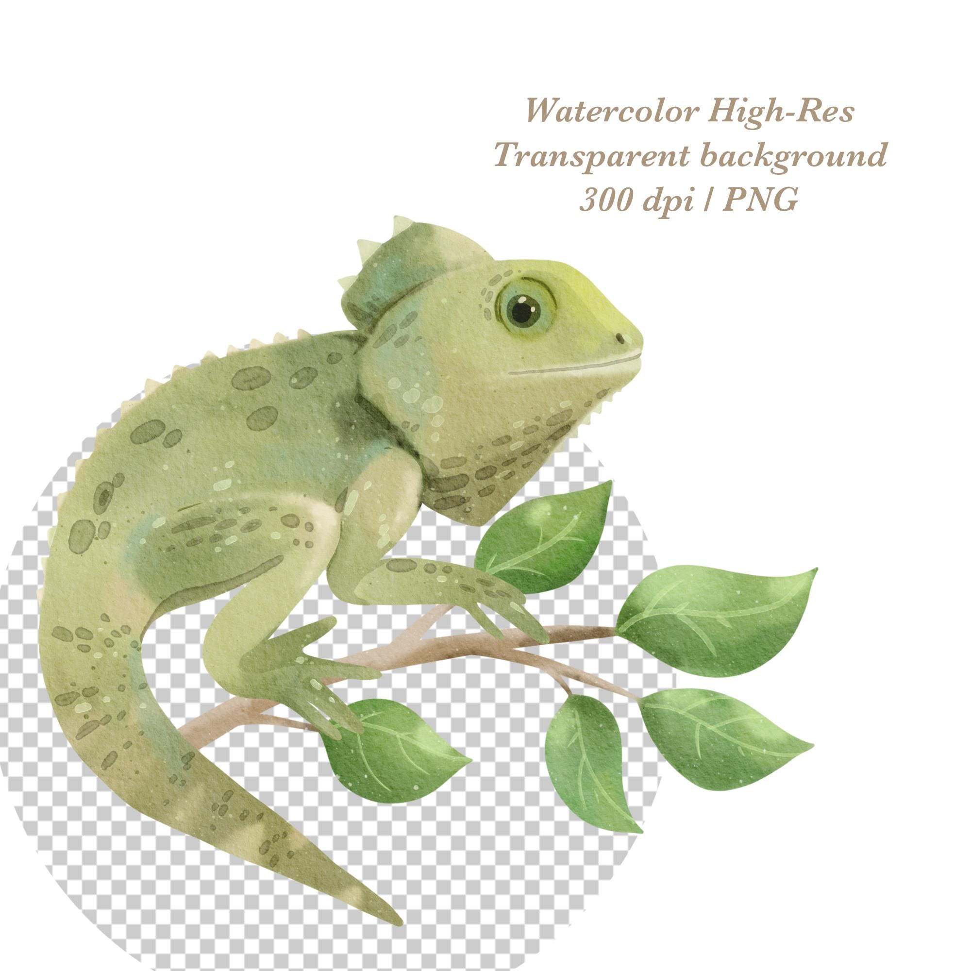 Watercolor Reptiles Clipart: Exotic Animals PNG, Chameleon, Forest ...