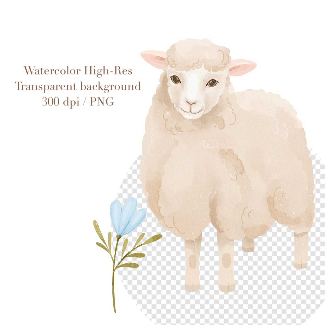 Watercolor Sheep Clipart, Baby Sheep PNG, Nursery Clipart, Lamb Graphic ...