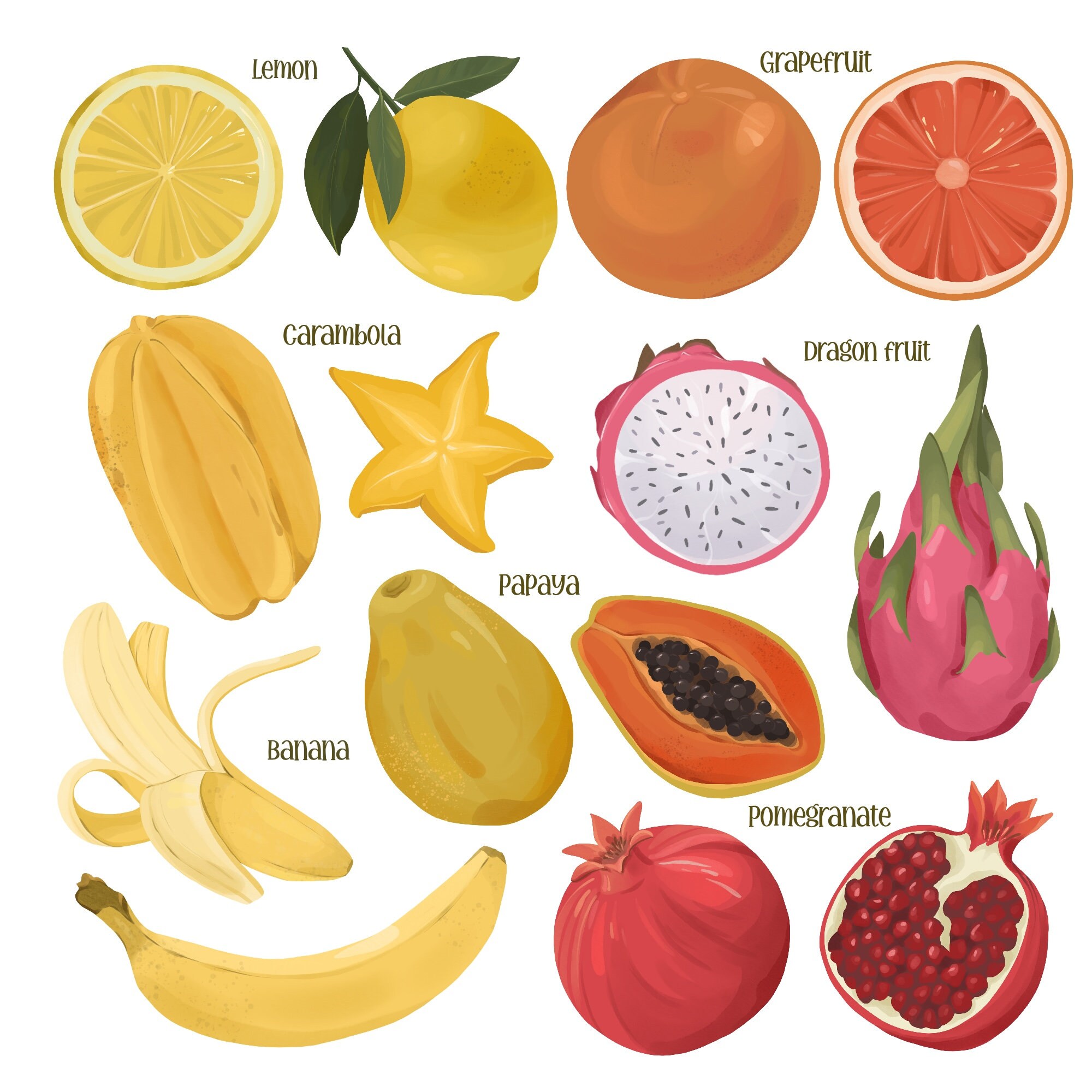 Fruits Clipart, Summer Tropical Fruits Set, Fruit Pattern, Fruit ...