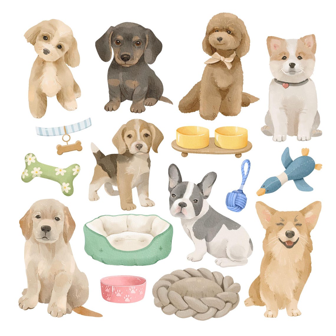Watercolor Baby Dogs Clipart: Hand-drawn Puppy Breeds PNG, Dog Toys ...