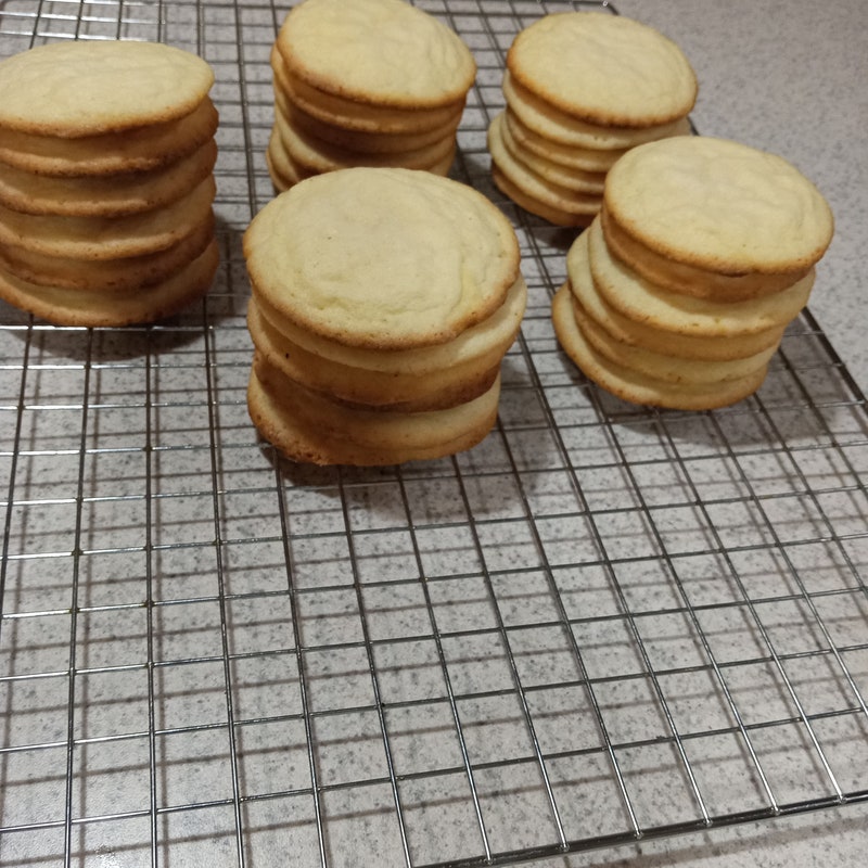 Undecorated Sugar Cookies - Etsy
